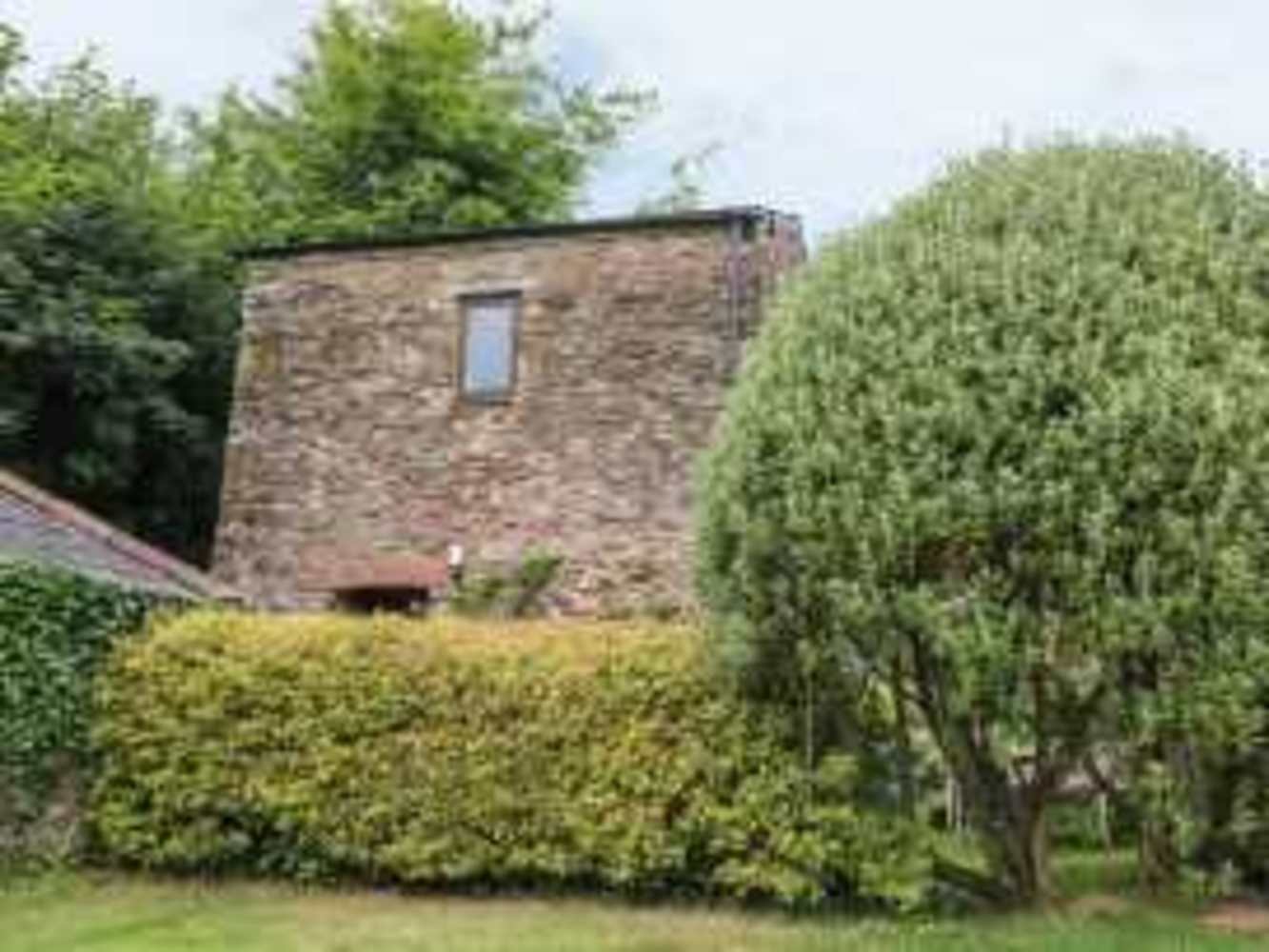 A little hedge to provide some privacy